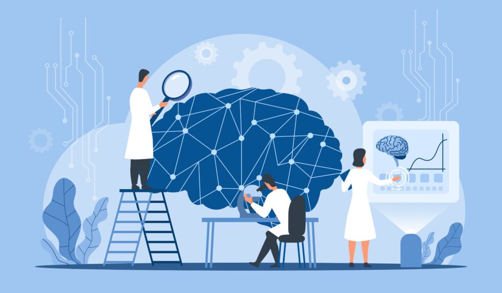 Executive Functions And Working Memory Similarities Differences And